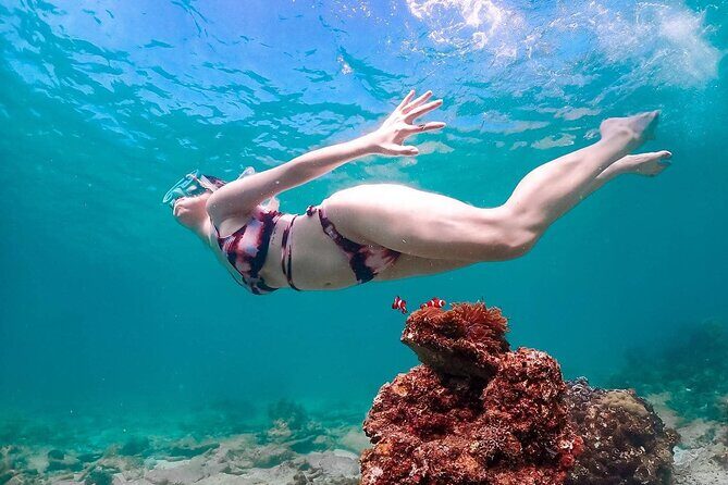 Speedboat Tour From Pattaya to Koh Larn Coral & Sak Island - Overall Experience and Value