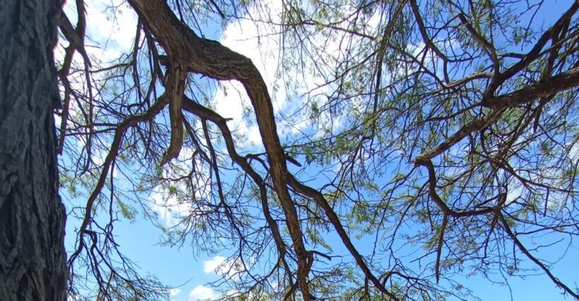 SPEEDBOAT TOUR TO TAYRONA CRISTAL BEACH - Key Points