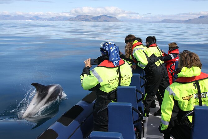 Speedboat Whale Watching Small-Group Tour in Reykjavik - Weather and Cancellation Policies
