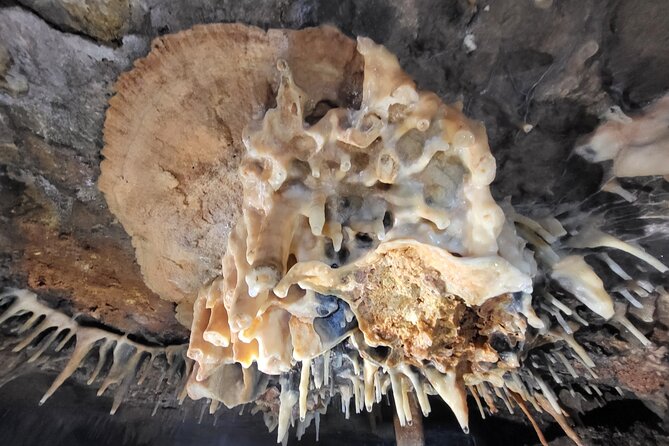 Speleology, Exploration Inside a Secret Cave - Accessibility Options for Diverse Explorers