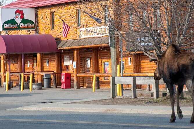 Spenard Neighborhood FOOD & TRUE CRIME Walking Tour - The Sum Up: Who Should Consider This Tour?