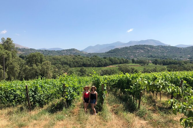 Sperlonga Experience and Wine Tasting Tour - Exceptional Customer Feedback