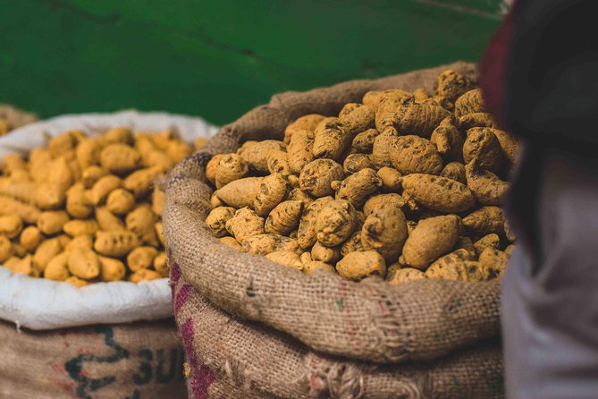 Spice Market & Old Delhi Highlights: Guided 3-Hour Tour - Who Will Appreciate This Tour Most?