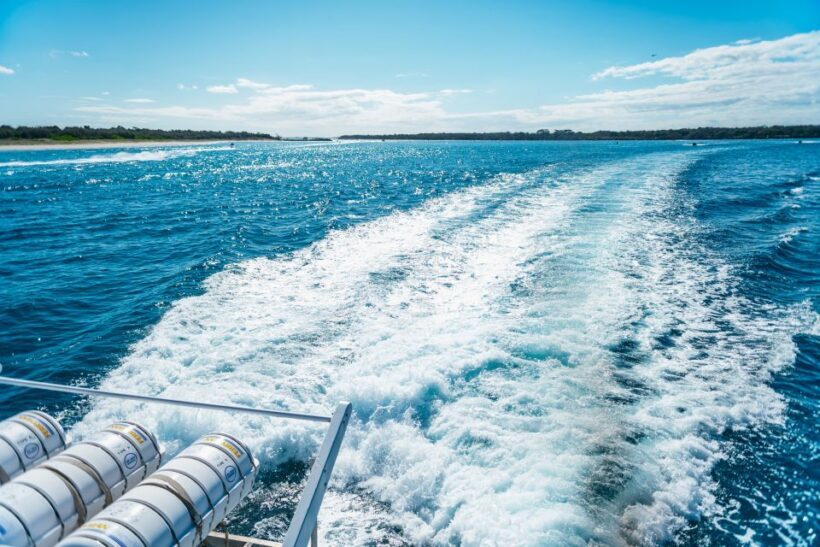 Spirit of Gold Coast 2.5-Hour Whale Watching Tour - The Sum Up