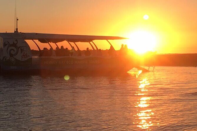 Spirit of Hervey Bay Whale Watching Cruise - FAQs
