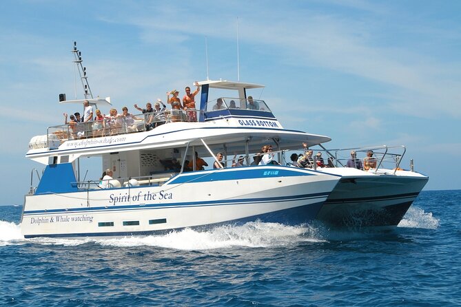 Spirit of the Sea: Cetacean Sighting in Gran Canaria - Accessibility and Inclusivity