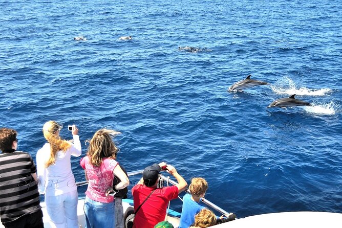 Spirit of the Sea: Cetacean Sighting in Gran Canaria - Highlights of the Boat Experience