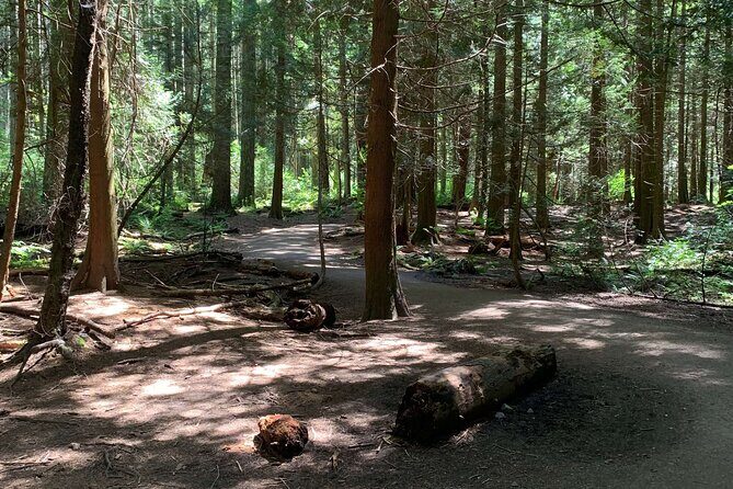 Spirit Of Vancouver Bike or Ebike Tour - Flexibility and Personalization