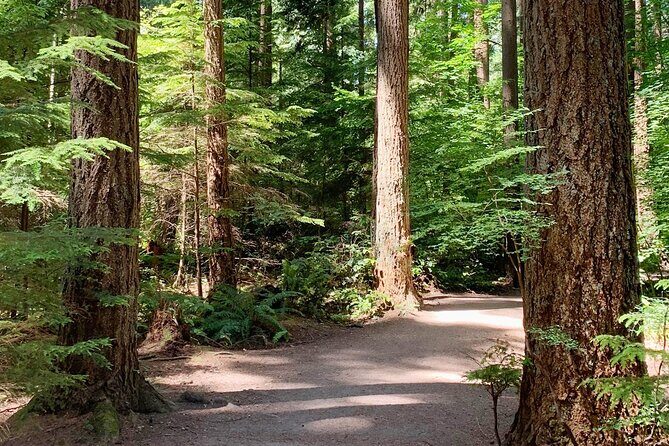Spirit Of Vancouver Bike or Ebike Tour - Additional Practical Details
