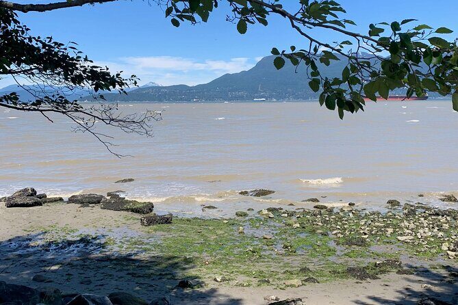 Spirit Of Vancouver Bike or Ebike Tour - Authentic Traveler Perspectives
