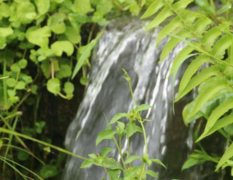 Spiritual Bali for Late Risers - Purification & Waterfall - FAQ