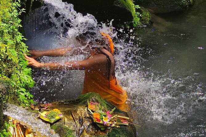 Spiritual Cleansing Ritual and Shamanic Healing in Bali - The Iconic Tegallalang Rice Terraces