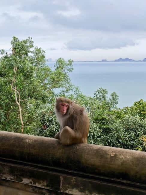 Spiritual Journey in Da Nang: Linh Ung & Marble Mountains - Value and Who Should Consider This Tour