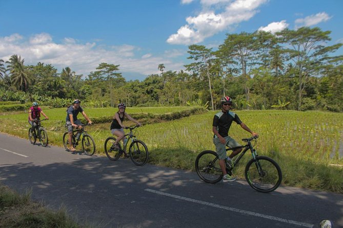 Spiritual Journey with private purification ceremony, local priest - Ubud - Frequently Asked Questions (FAQ)