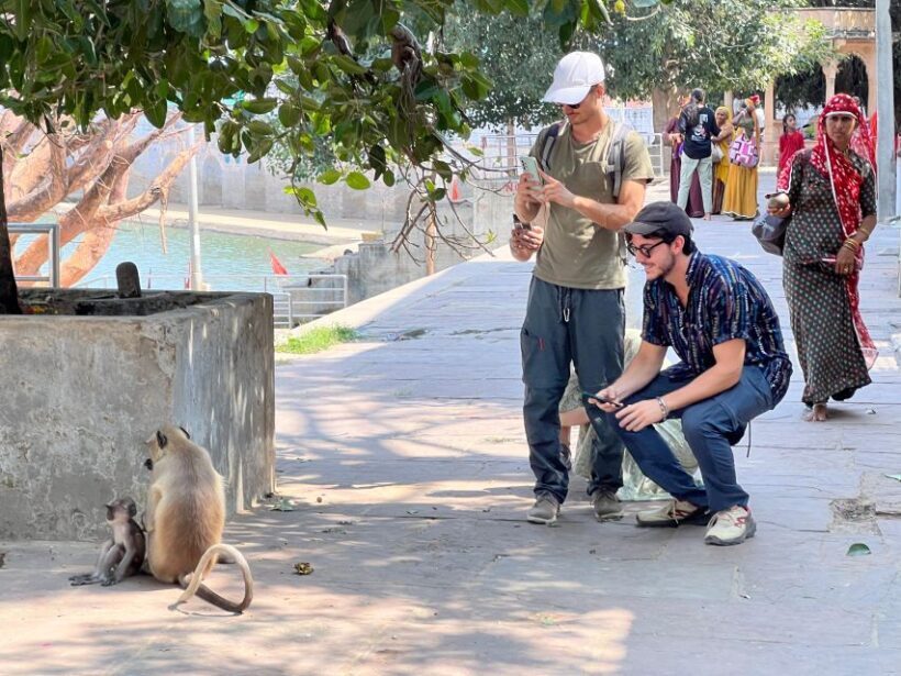Spiritual Walking tour with Puja Ceremony -The Pushkar Route - Practical Details and Value