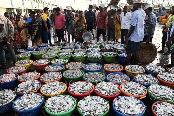 Splendid Chennai: Private Half Day Tour of Chennai - Key Points