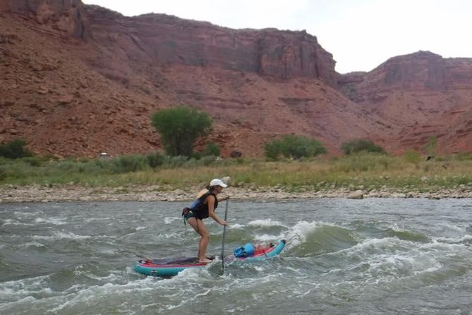 Splish and Splash: Stand Up Paddleboarding on the Colorado River - What Makes This Tour Special?