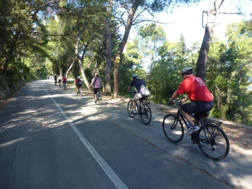 Split 3-Hour Guided Bike Tour - FAQs