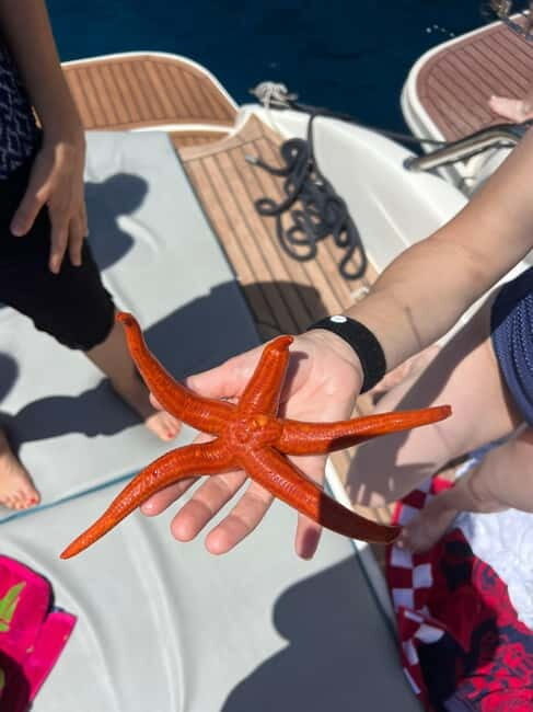 Split: 5 Islands Full-Day Tour to Blue Cave, Vis & Hvar - The Experience in Detail