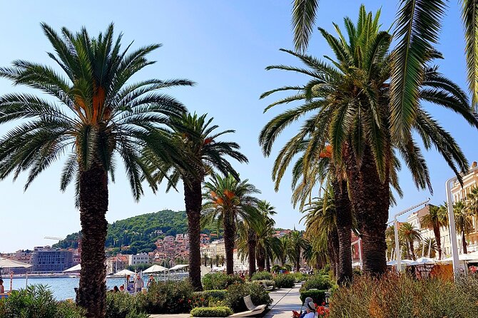 Split and Ston private tour or transfer - Who Will Love This Tour?