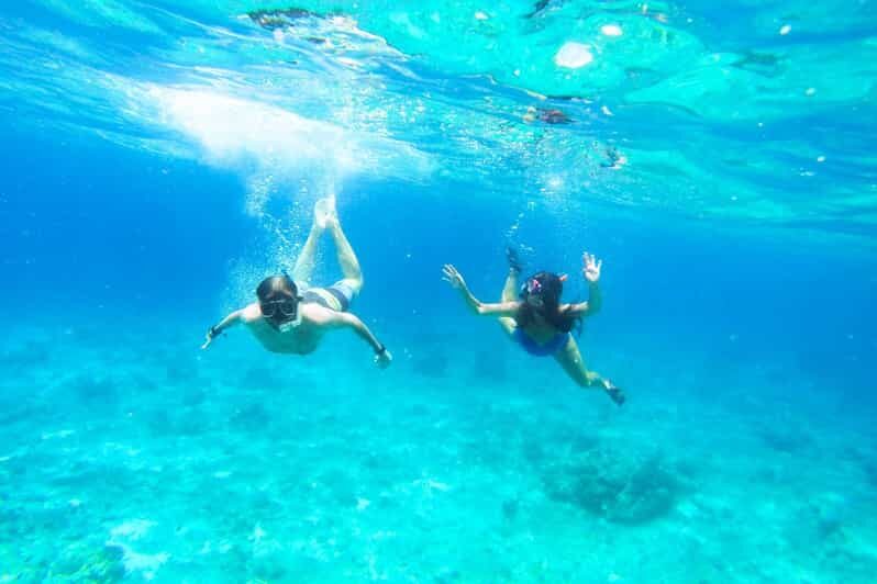 Split: Blue Lagoon, Hvar and 5 Islands Small Group Boat Tour - Transportation & Logistics