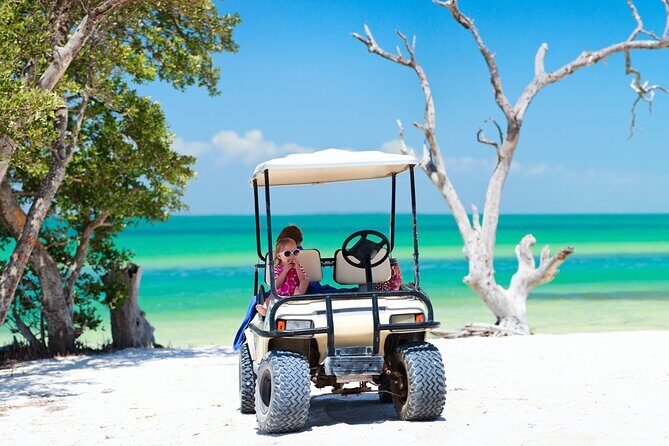 Split Cruise To Bimini & Free Transportation! - Final Thoughts: Who Will Love This Tour?
