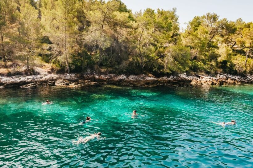 Split: Hvar, Pakleni, Bra & olta All-inclusive Tour - Detailed Review of the Tour Experience