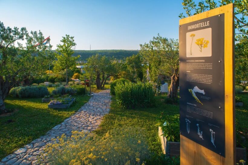 Split: Olive museum Klis with Olive Oil Tasting - An In-Depth Look at This Dalmatian Olive Experience