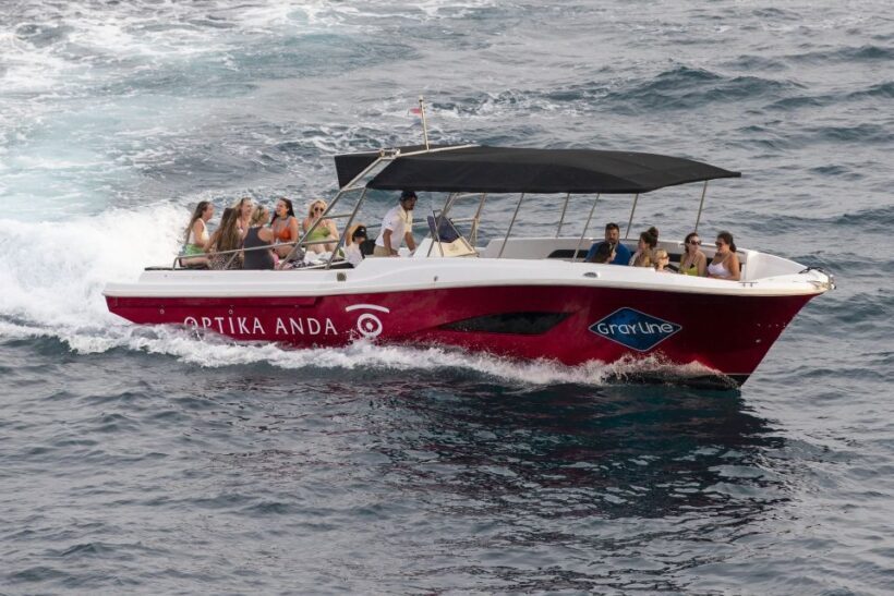 Split or Trogir: Blue Cave, Vis, and Hvar Speedboat Day Trip - Authentic Feedback from Travelers