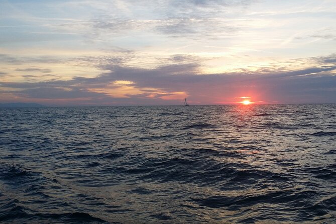 Split: Small-Group Half Day Sailing Trip - The Sum Up