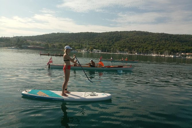 Split Sunset Stand Up Paddle Tour With Wine - Participant Requirements and Recommendations