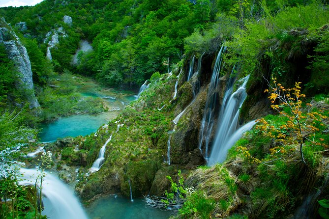Split to Plitvice Lakes Private Tour With Local Guide - Customer Reviews and Feedback