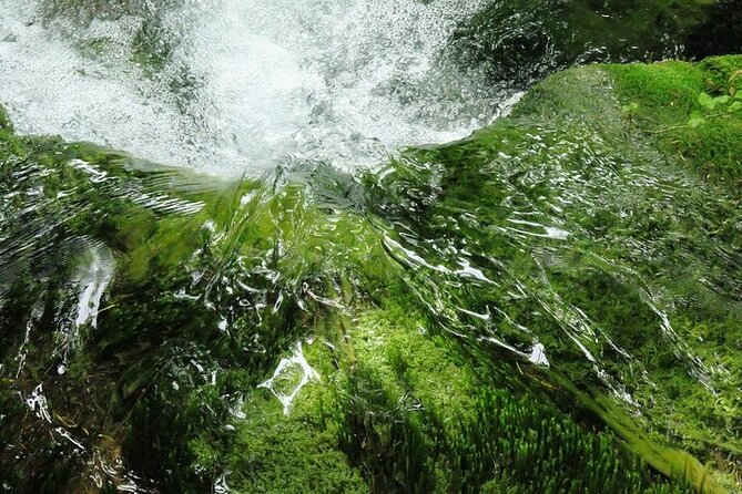 Split to Zagreb or airport Zagreb via Plitvice lakes for singles or couples - What the Reviews Say