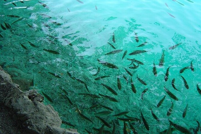 Split to Zagreb or airport Zagreb via Plitvice lakes for singles or couples - The Sum Up