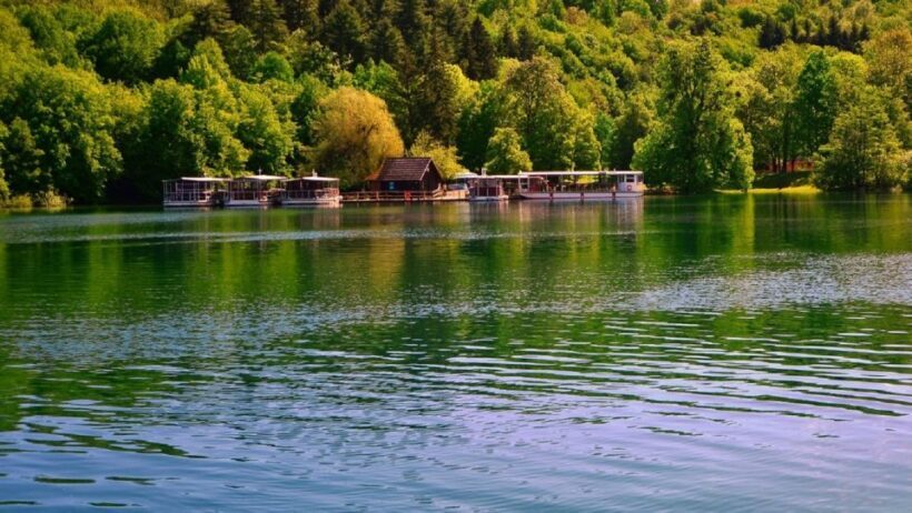 Split/Trogir to Zagreb: Private Transfer with Plitvice Lakes - Authentic Experiences and Traveler Feedback