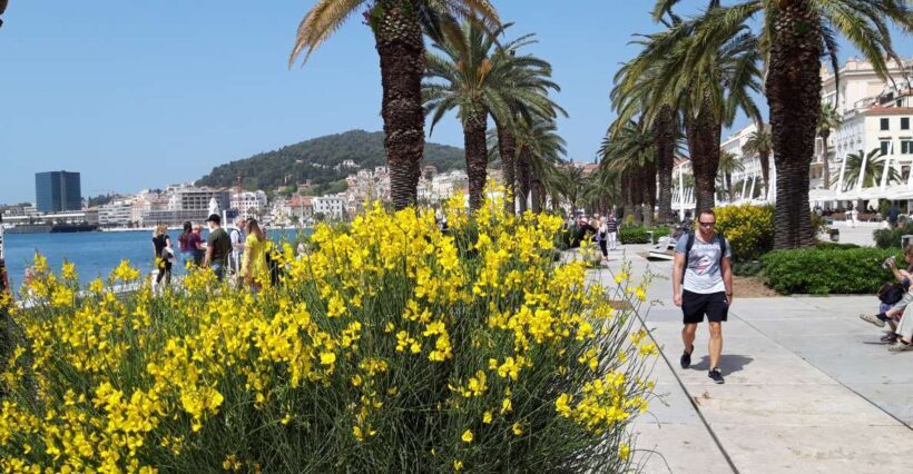 SPLIT:PRIVATE Emperor's Walk for History Lovers+Museum - What Travelers Say