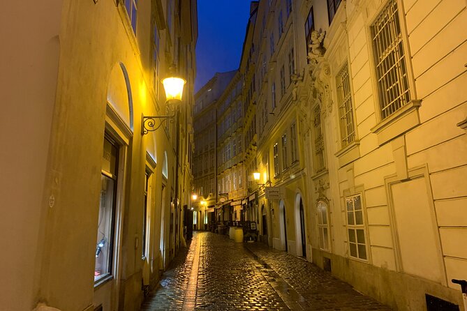 Spooky Vienna Ghost Tour in English - Meeting Point and Accessibility