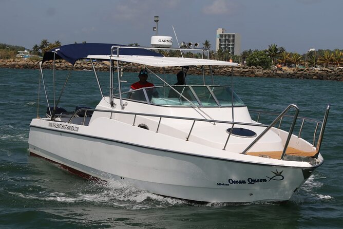 Sports Boat- Private Whale Watching Trip( free breakfast & paid pick-up) - Transportation and Timing