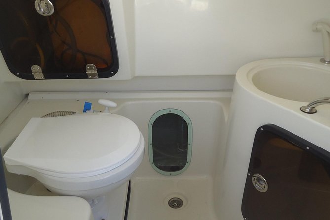 Sports Boat- Private Whale Watching Trip( free breakfast & paid pick-up) - The Experience on Deck