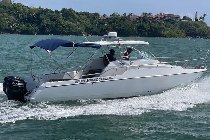 Sports Boat- Private Whale Watching Trip( free breakfast & paid pick-up) - FAQs