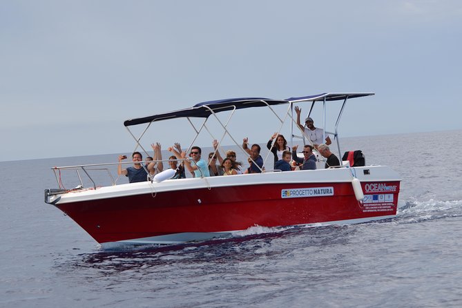 Spring & Autumn Tour: Dolphin Watching - Meeting Point and Logistics