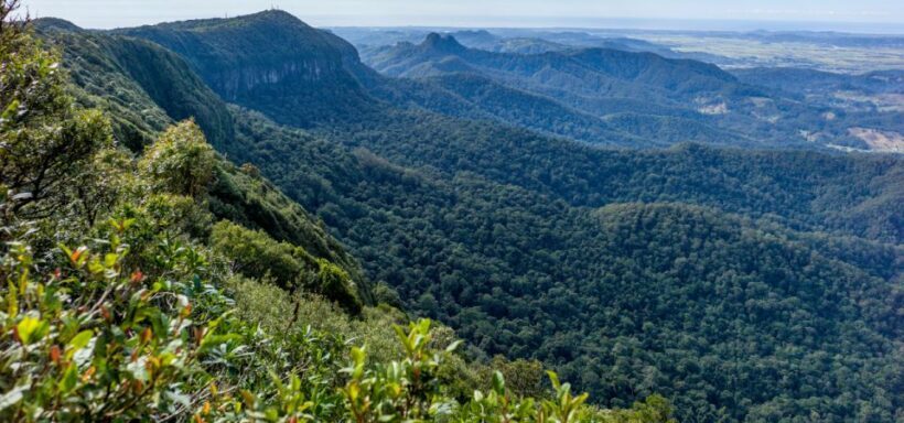 Spring Brook National Park Driving Tour with an APP - The Practicalities: What to Know