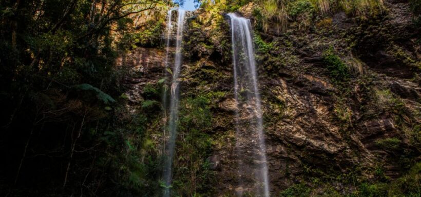 Spring Brook National Park Driving Tour with an APP - Why You Should Consider This Tour