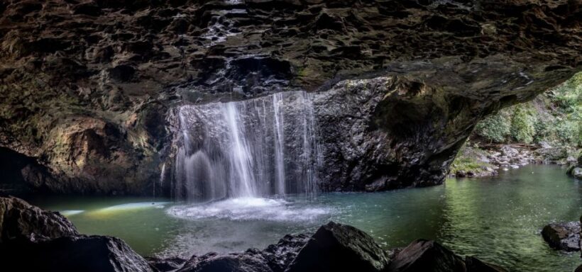 Spring Brook National Park Driving Tour with an APP - The Bottom Line: Who Is It Best For?