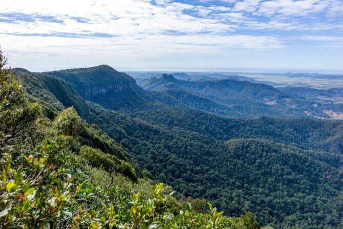 Spring Brook National Park Self Guided Driving Tour - Exploring Springbrook National Park Self-Guided Driving Tour: A Practical Guide for Nature Lovers