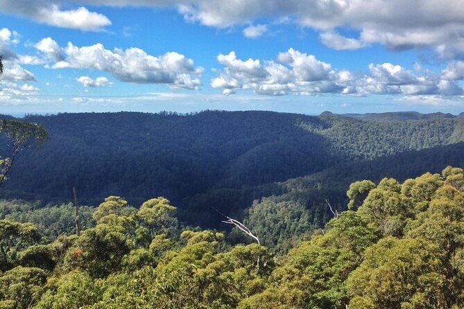 Spring Brook National Park Self Guided Driving Tour - Key Points