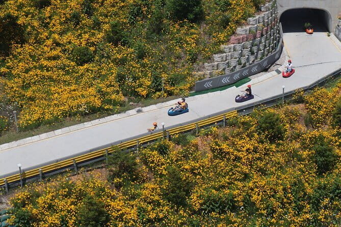 Spring flower Blossom festival, Railbike & Incheon Day tour - The Sum Up