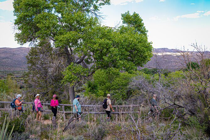 Spring Mountain Ranch Hike with Happy Hour Drinks - A Closer Look at the Spring Mountain Ranch Hike with Happy Hour Drinks