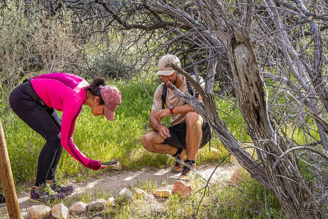 Spring Mountain Ranch Hike with Happy Hour Drinks - How the Experience Is Structured