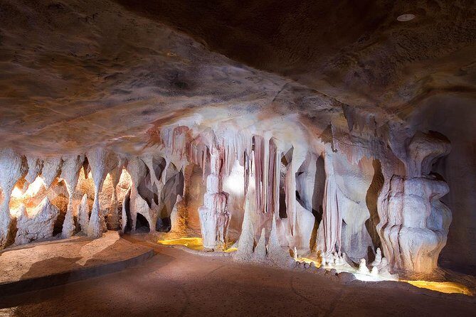Springbrook andTamborine Rainforest Tour Incl Natural Bridge and Glow Worm Cave - Key Points